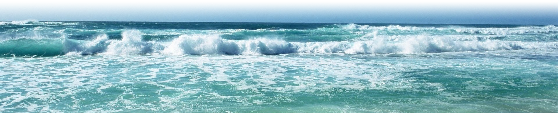 All Wave Consultancy